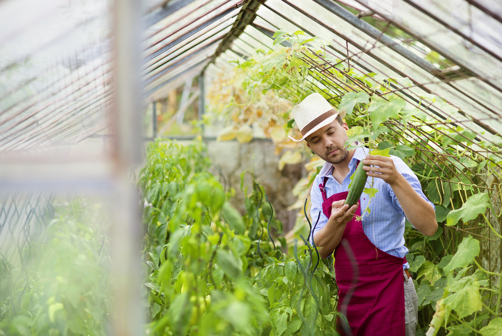 10 Ways Food Can be Eco-Friendly - Organic Food Definition